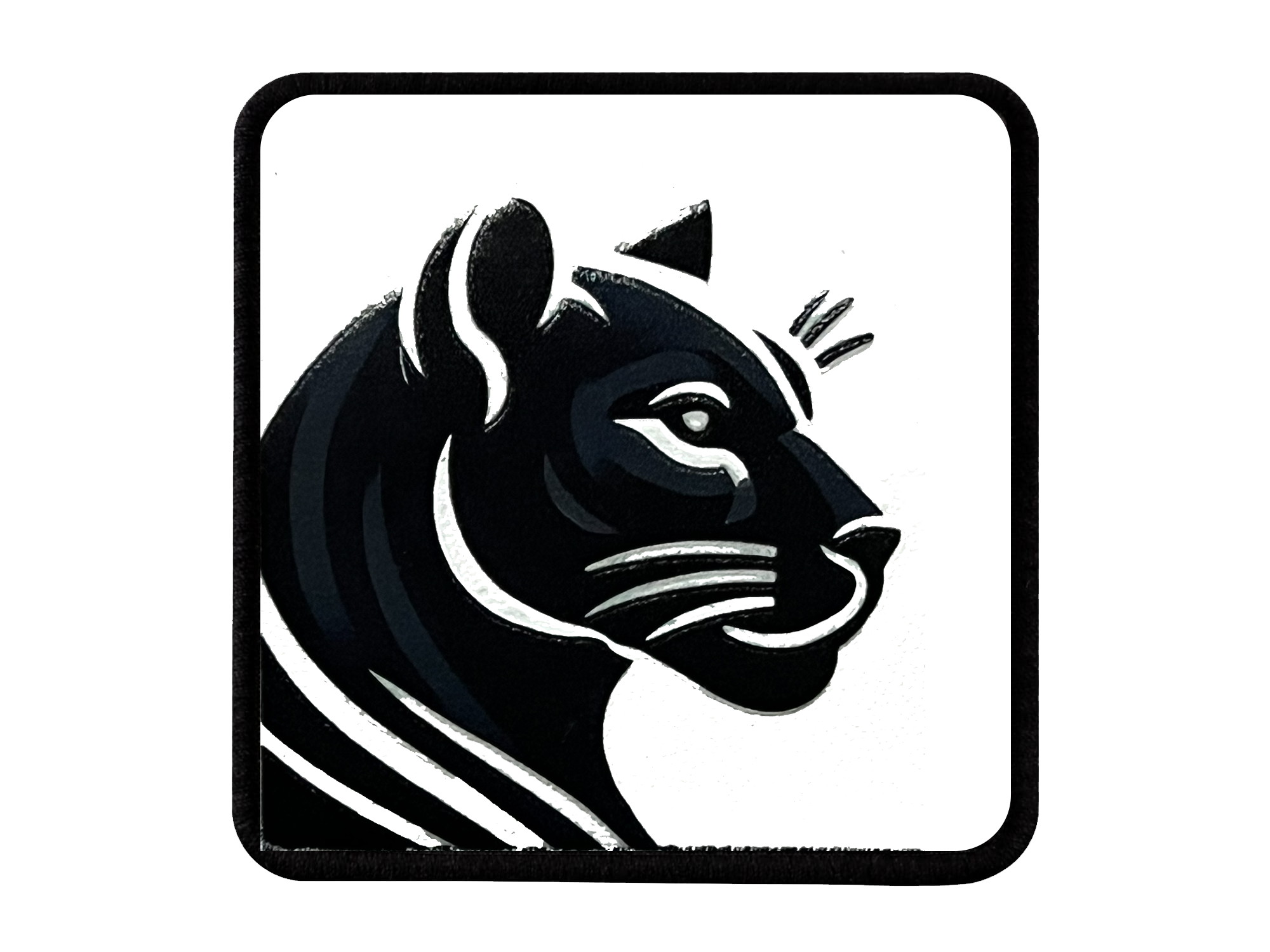 "PANTHERA" Logo – Capart